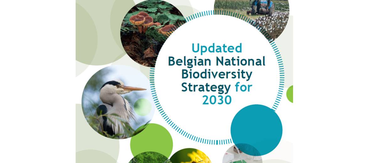 Belgium takes next step in the fight for biodiversity | Institute of ...