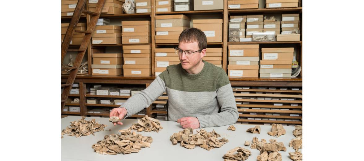 Past interactions between Humans and Nature | Institute of Natural Sciences