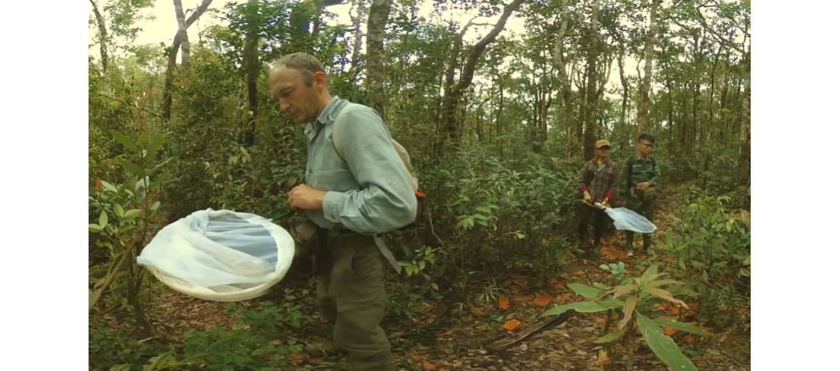 Discovering new species: from the field to the lab | Institute of ...