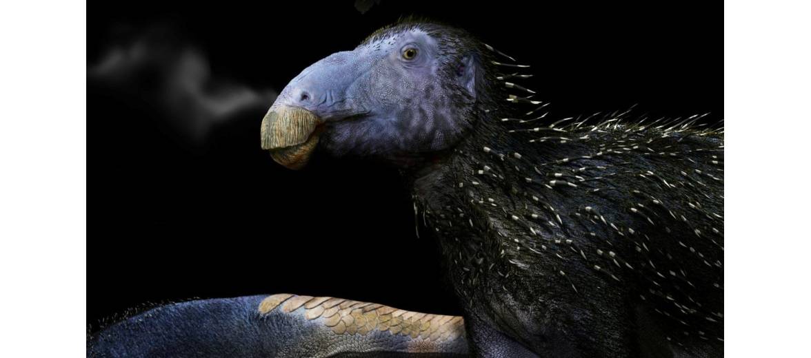 Le « dragon à piquants » révèle les secrets cachés de la peau des ...