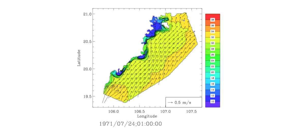 Ecosystem Modelling (ECOMOD) | Institute of Natural Sciences