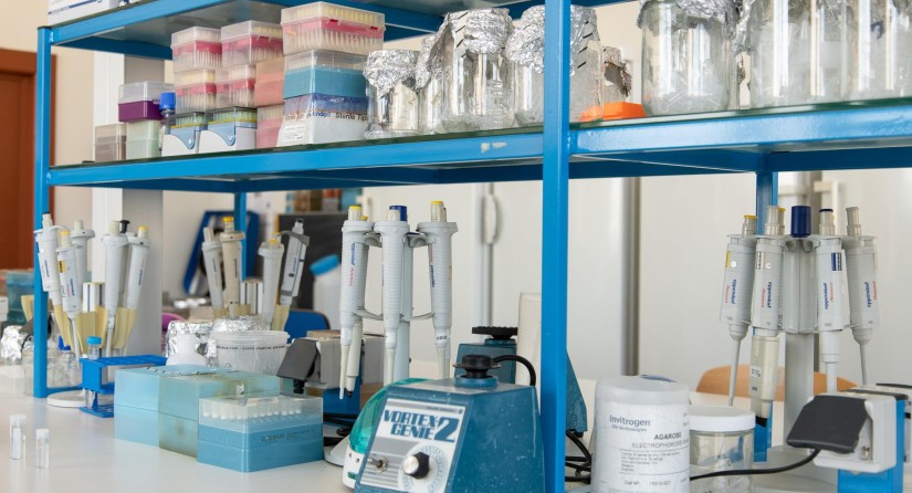 Laboratory of Molecular Systematics (LMS) | Institute of Natural Sciences