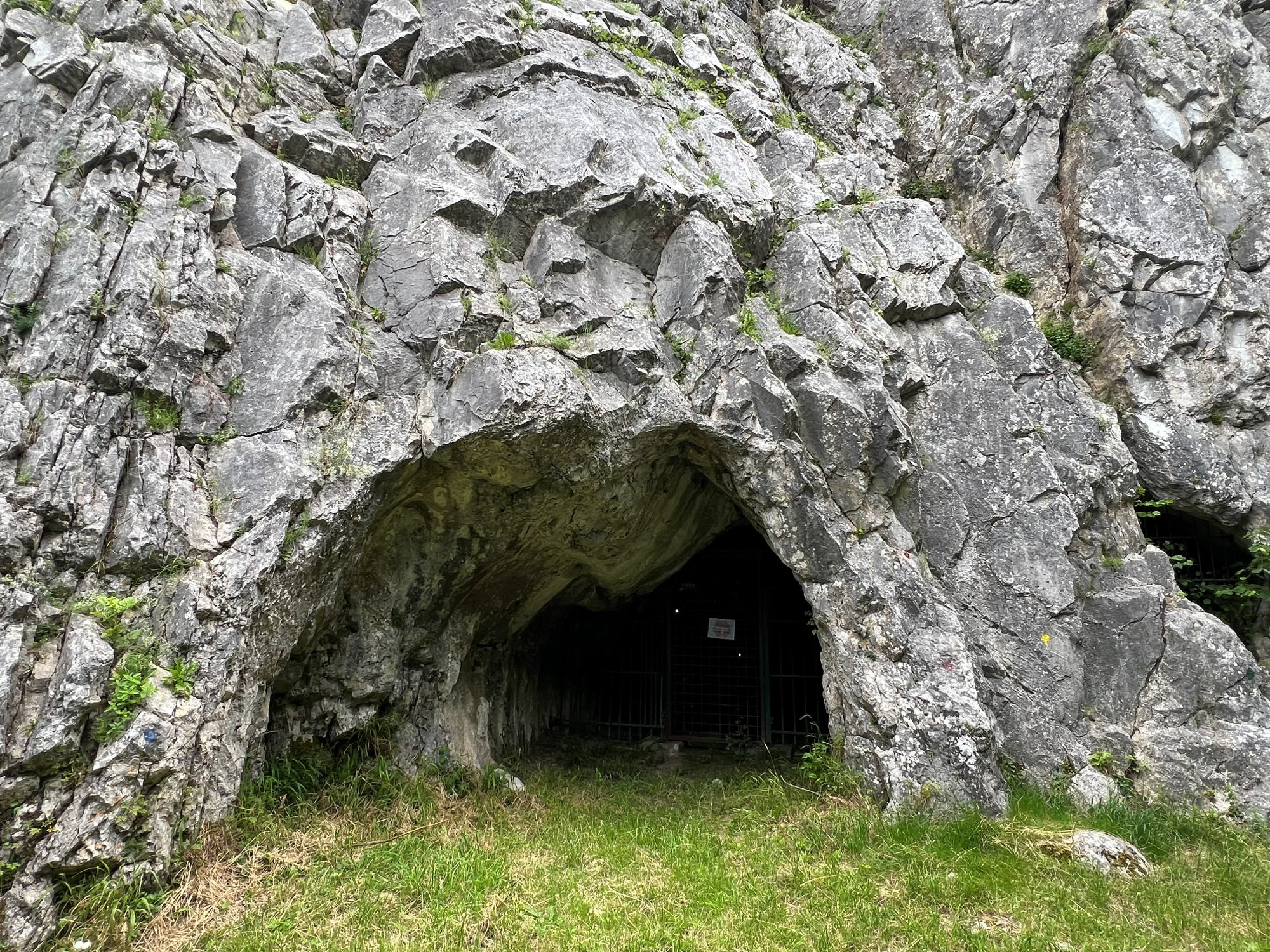 No signs of genetic poverty among the last Neandertals of North-Western ...