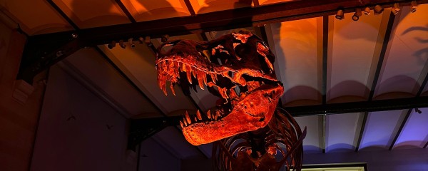 Home | Institute of Natural Sciences