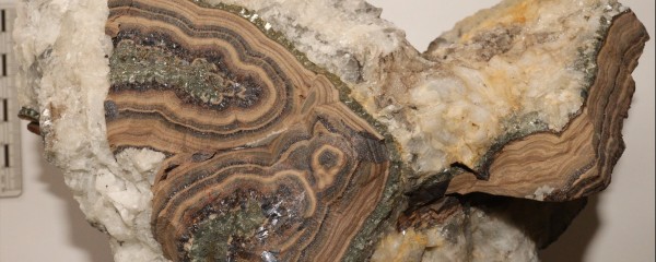 Ontdekken & Deelnemen | Instituut voor Natuurwetenschappen